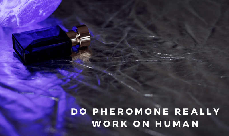 Do Pheromones work on Humans? Let’s Find Out